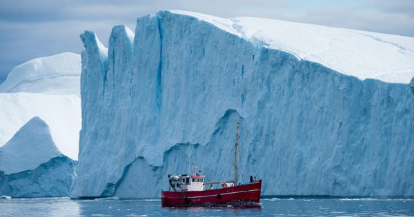 Experience the 5 types of icebergs - Greenland Travel EN